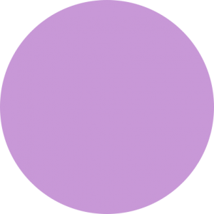 Plus Size Wedding Dresses for Brides with Curves